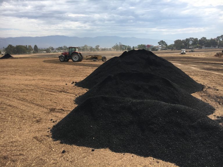 Biochar Production via Fast Pyrolysis: Challenges and Future Perspectives
